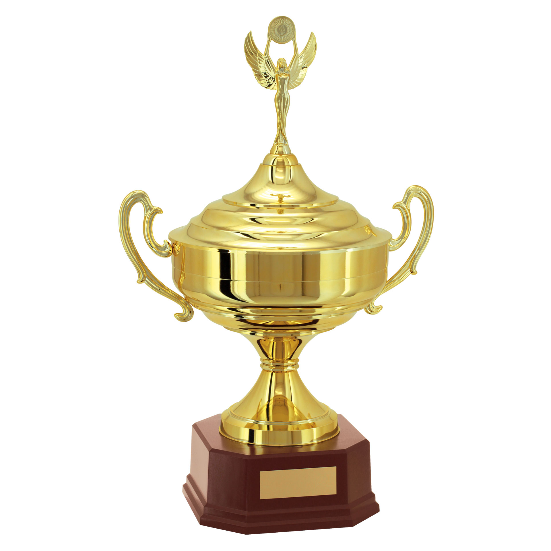 Trofeus-Medalhas-700402-DO-71cm | Troféus Friendz